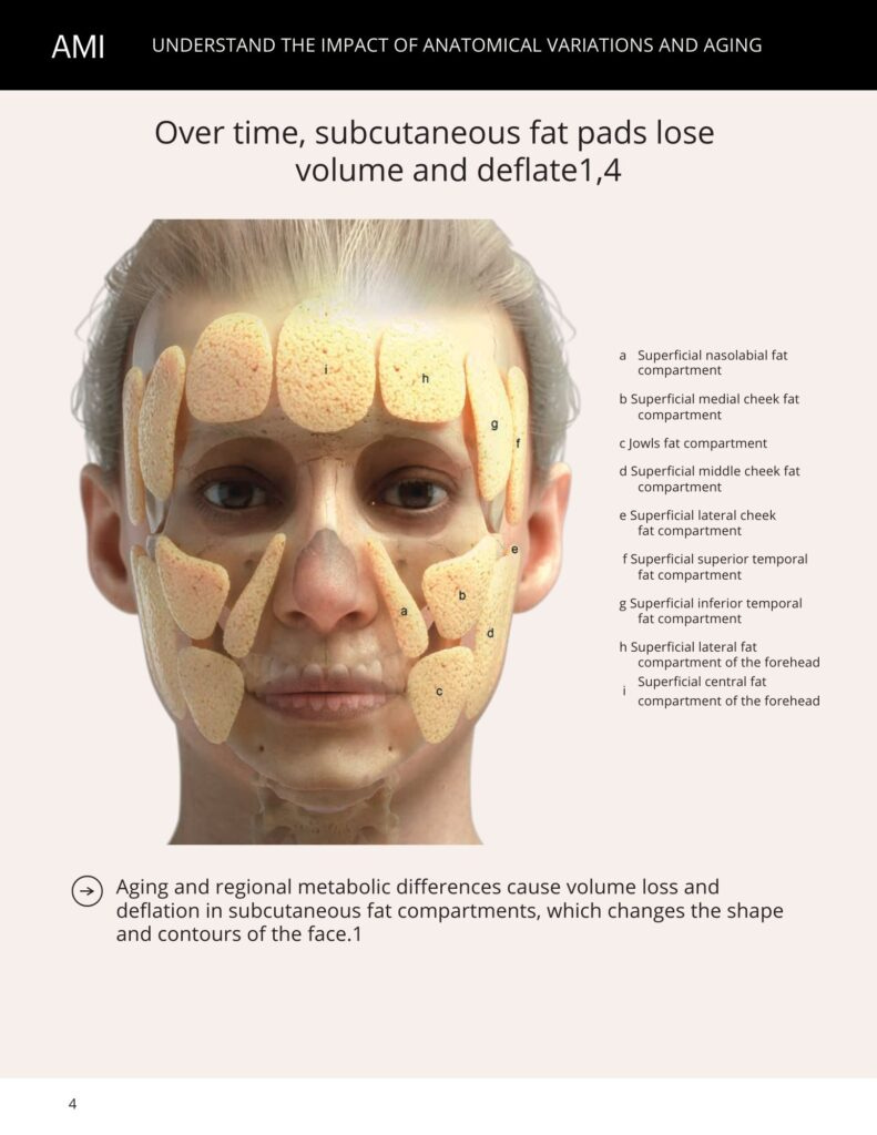 Understanding Facial Aging: Structural Changes That Shape the Aging Face