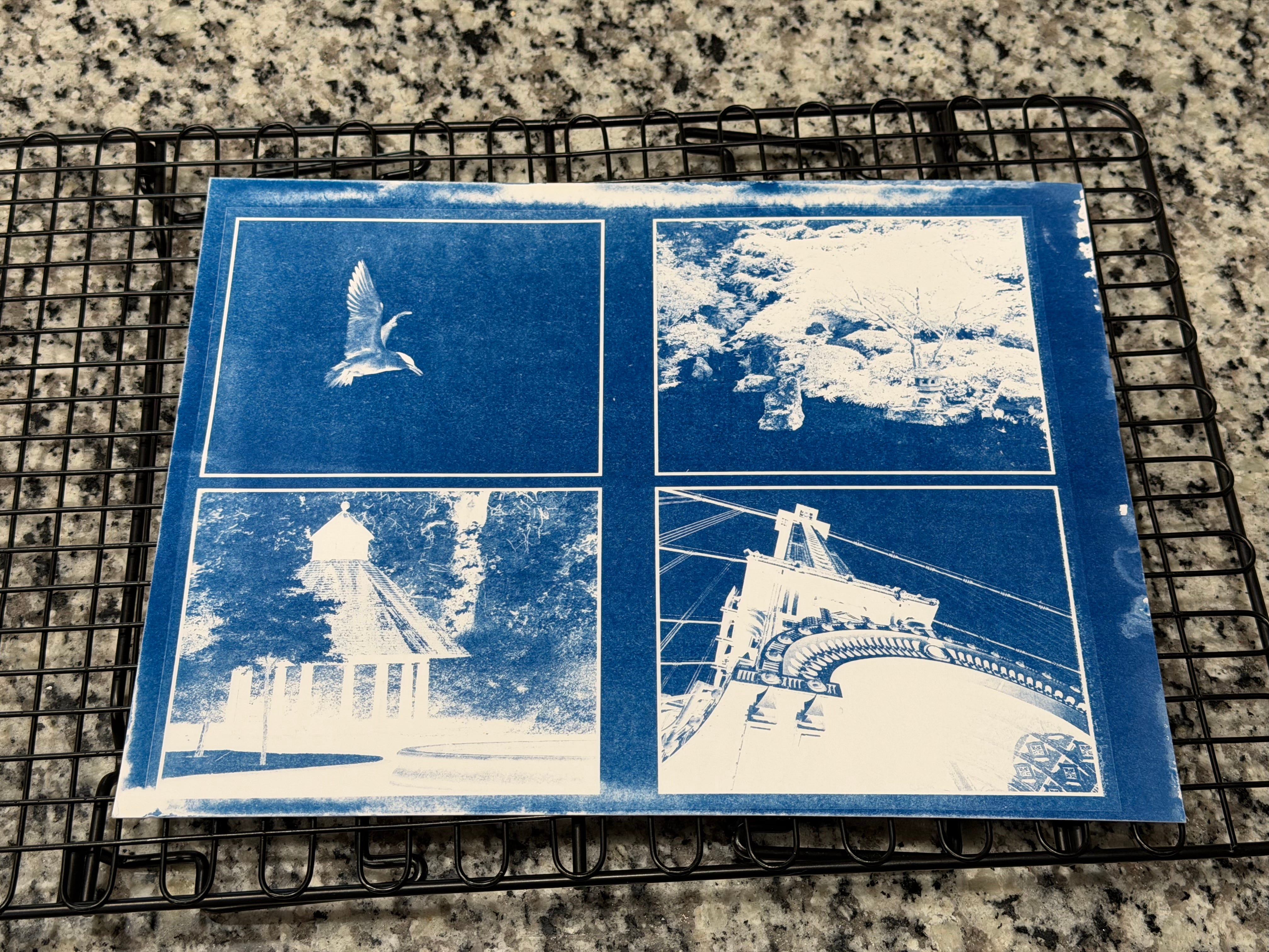 Cyanotype Printing at Home - by Jason Odell