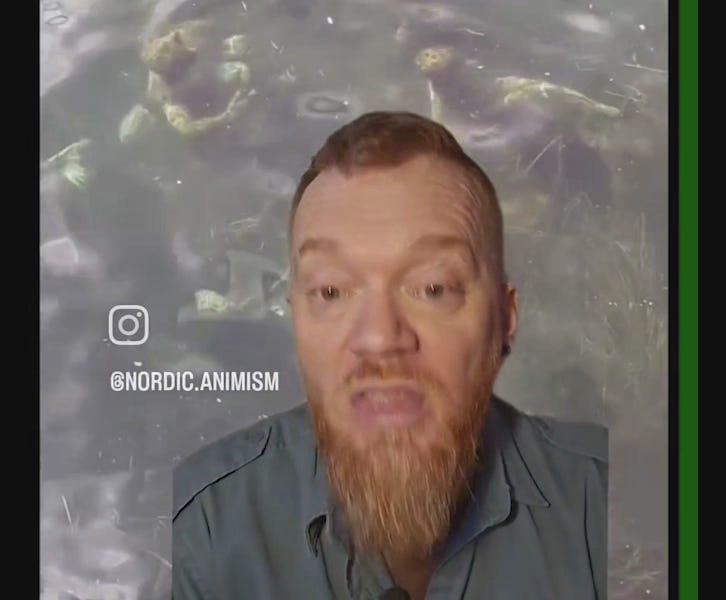 Agnete and the Merman - Nordic Animism Substack