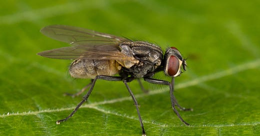 Alex Krainer (@alexkrainer): "https://open.substack.com/pub/alexkrainer ...