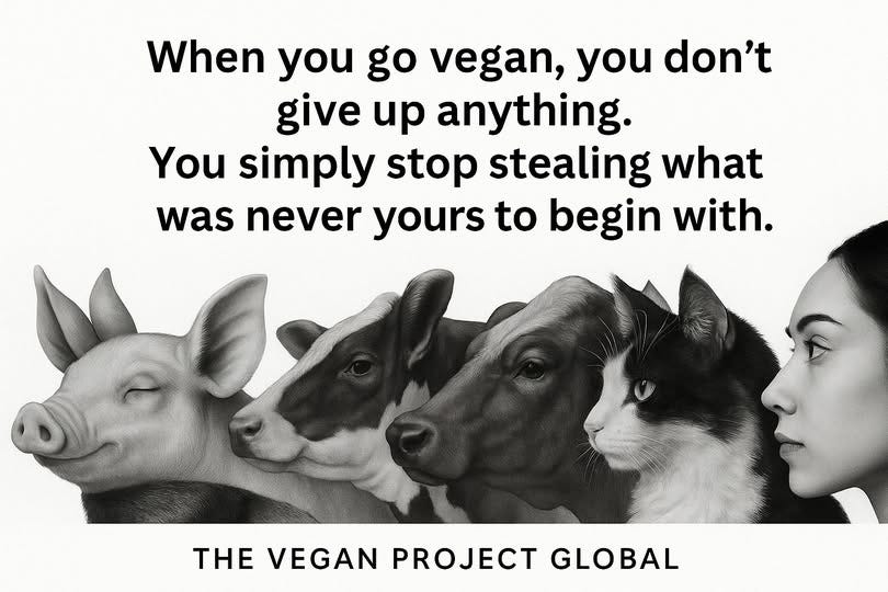 My Favorite Vegan Memes - by Michael Corthell