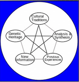The Real OODA Loop: What John Boyd Actually Built and Why It Matters