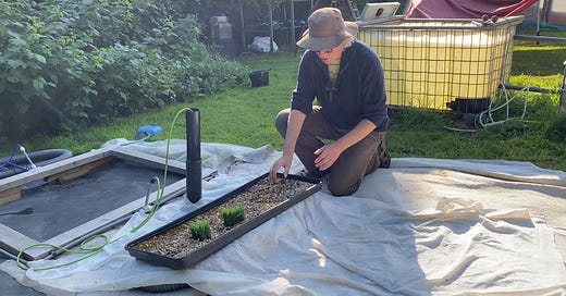 Organic Pools by David Pagan Butler | Substack