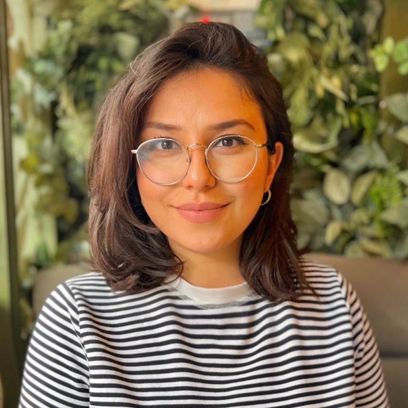 Shabnam Nasimi | Substack