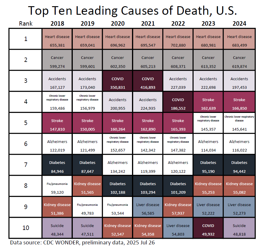 2024 U.S. Top Causes of Death by Age Group, Preliminary