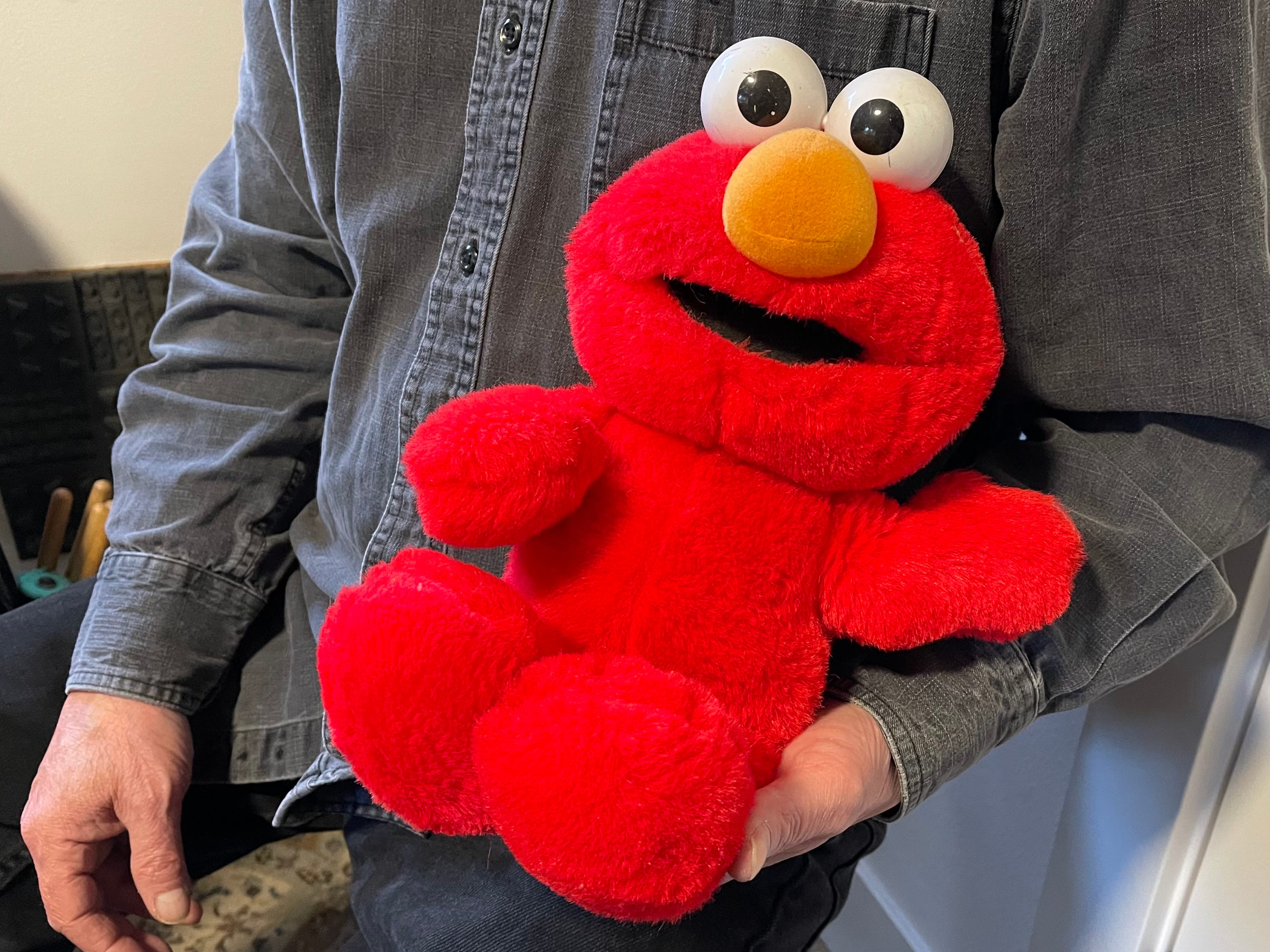 Are NPR, PBS and Elmo in trouble? - by Donna Blankinship