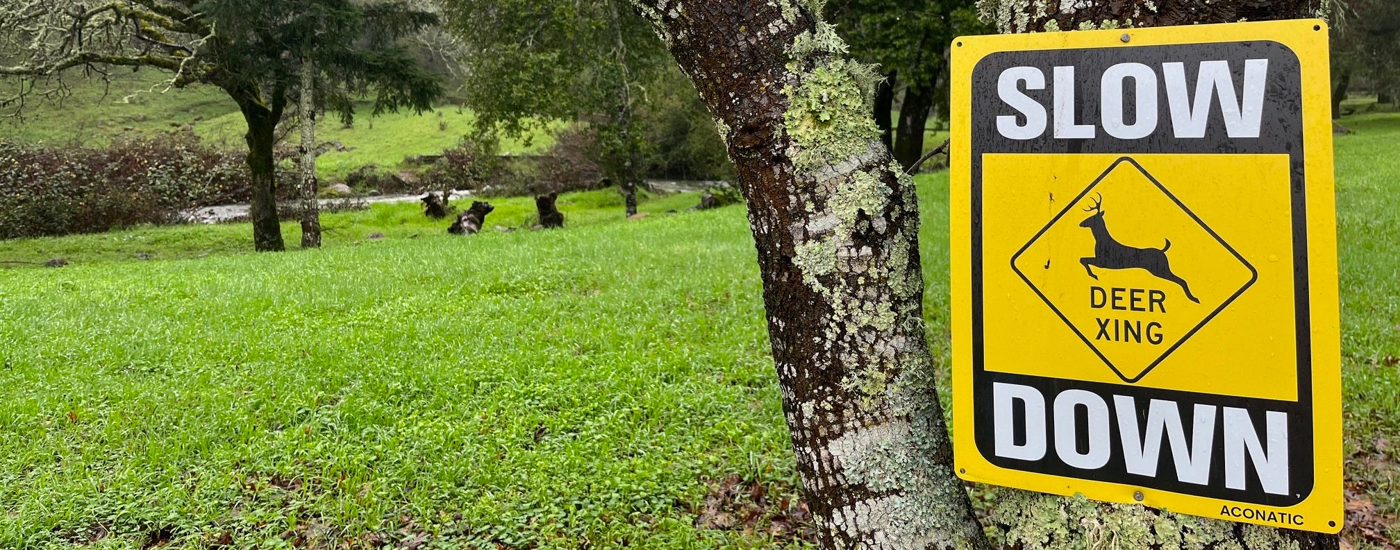 Power-mongering... Peace-making Possible?