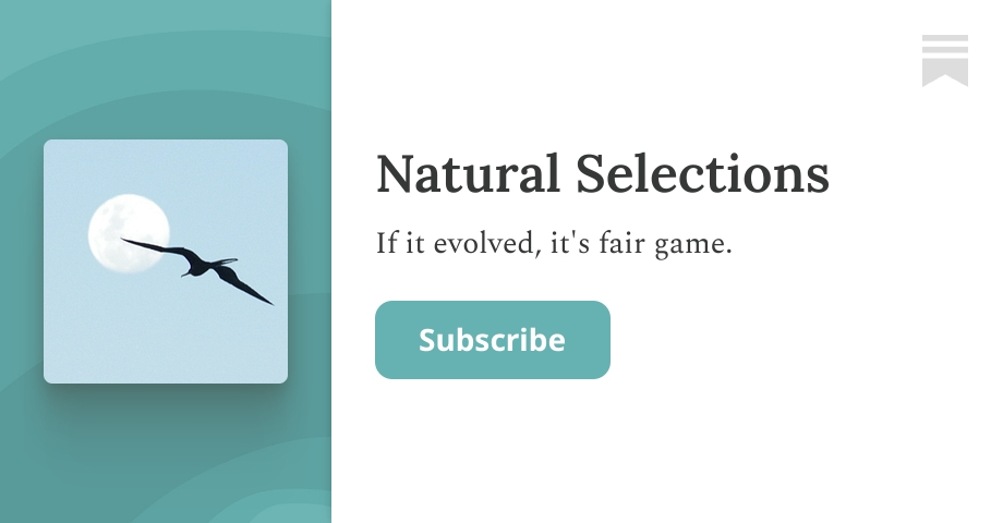 Natural Selections | Heather Heying | Substack