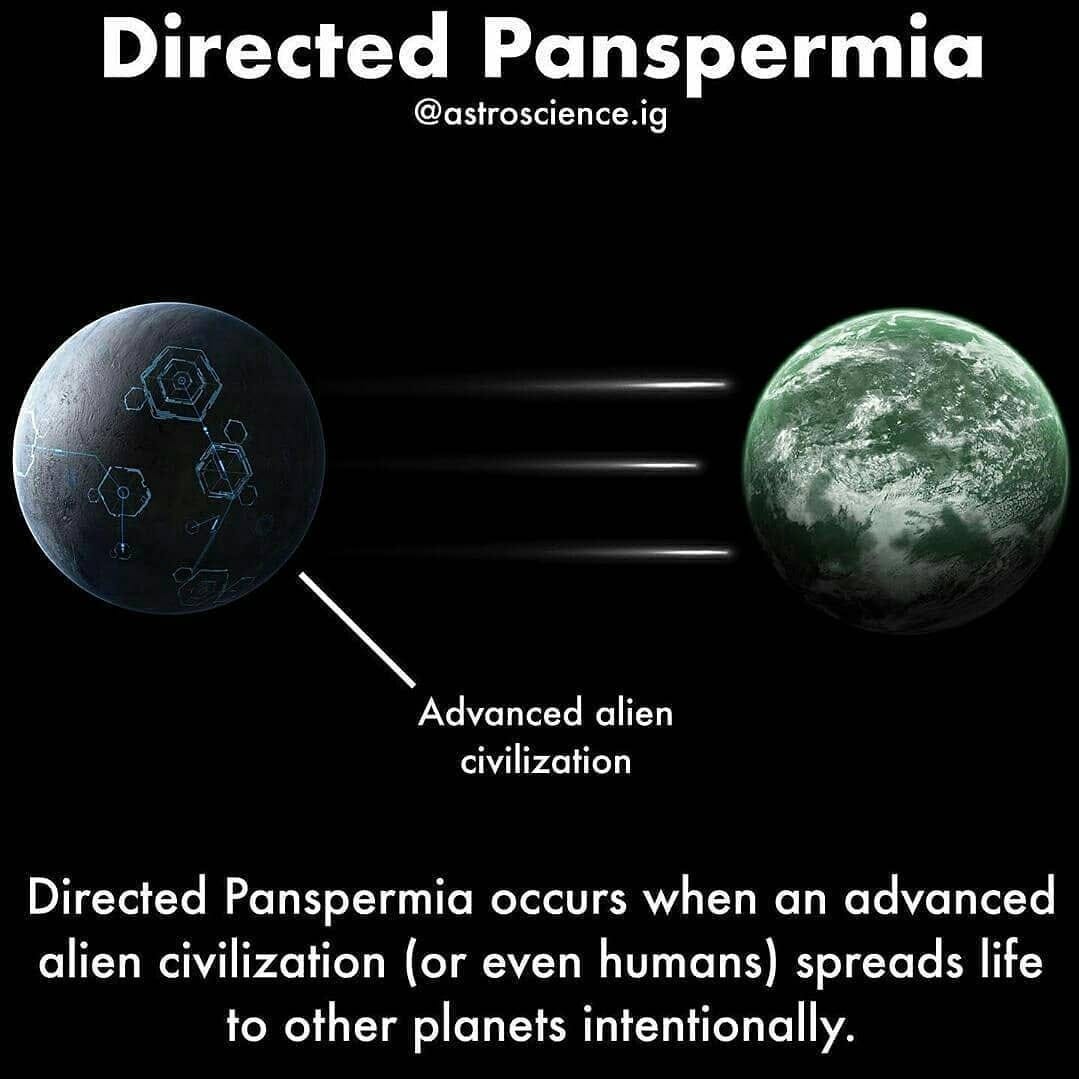 Los Orígenes de la Panspermia Dirigida - by Christian Orlic