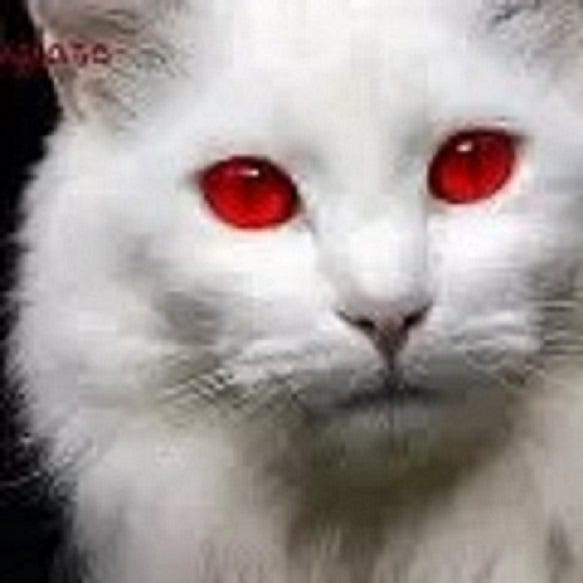 Sensing Evil - by Cindy