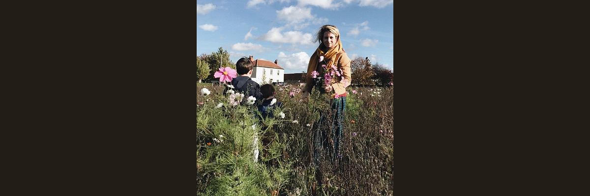 Helen C Stark | Substack