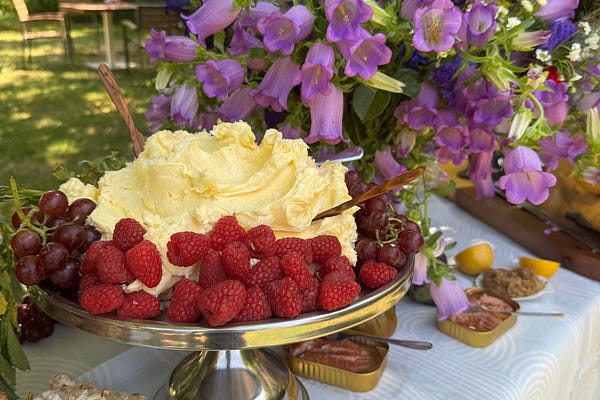 This Shit Rocks | Sara Tane | Substack