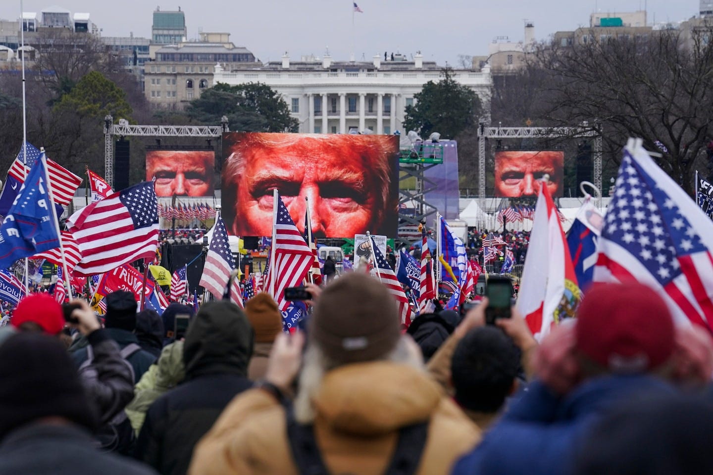 Will becoming American end the Division? Kitiki #492