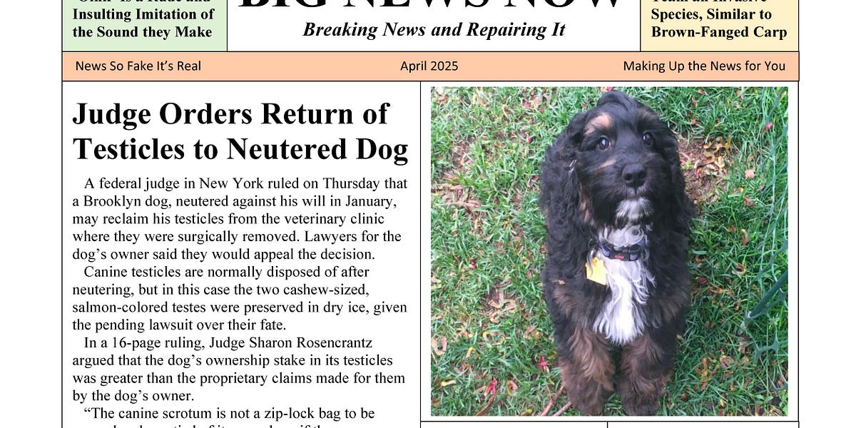 Judge Orders Return of Testicles to Neutered Dog