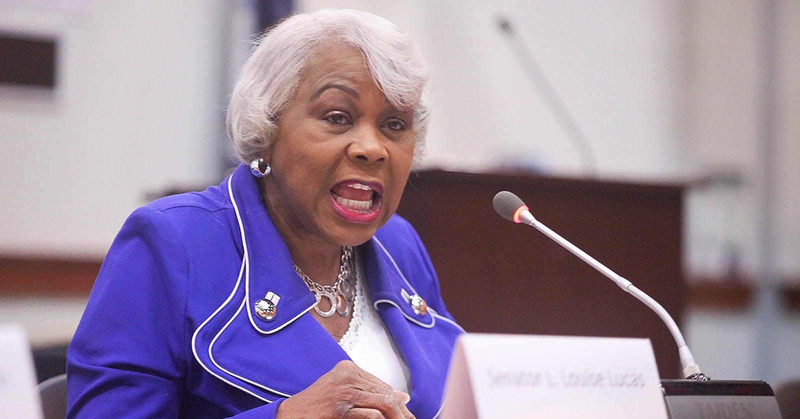 Virginia Senator L. Louise Lucas Roasts Kaine & Warner Over ...
