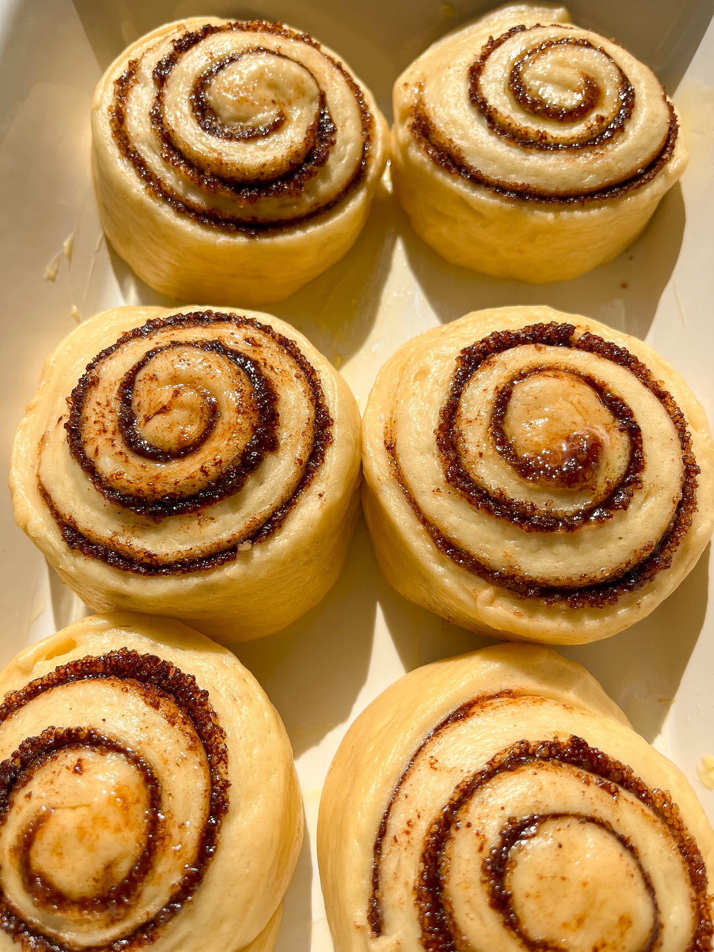 The Ultimate Cinnamon Roll Guide - Sage Bakes