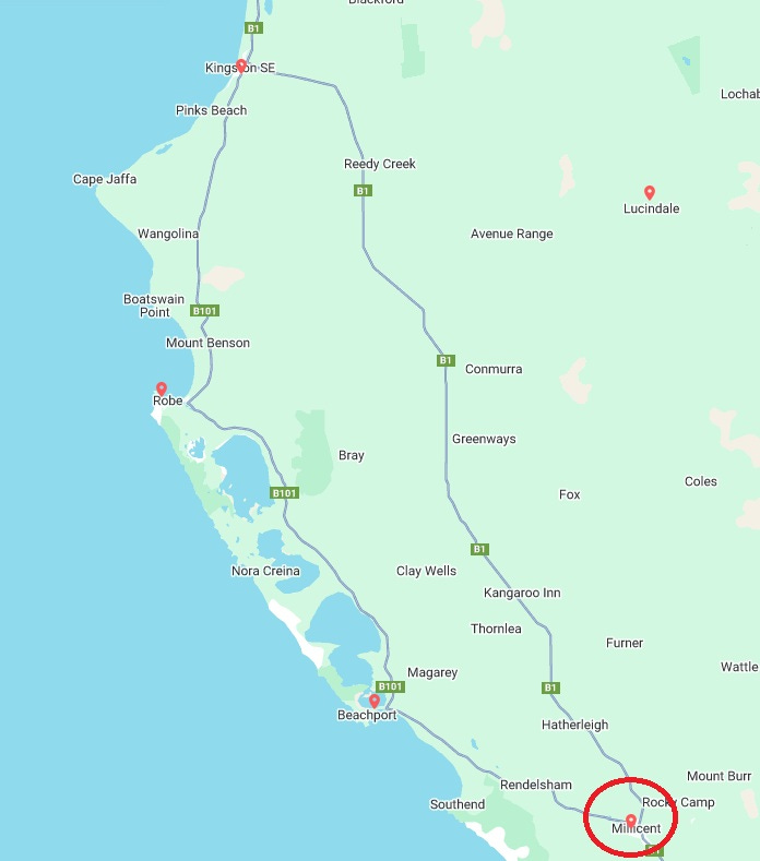 Library #9 | Millicent Library and Art Gallery