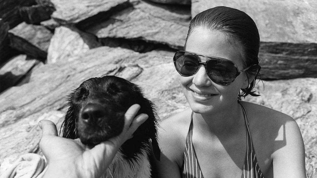 lee friedlander camera