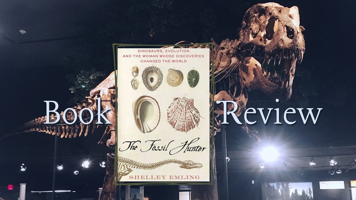 THE FOSSIL HUNTER by Shelley Emling (2009) - by Ceallaigh