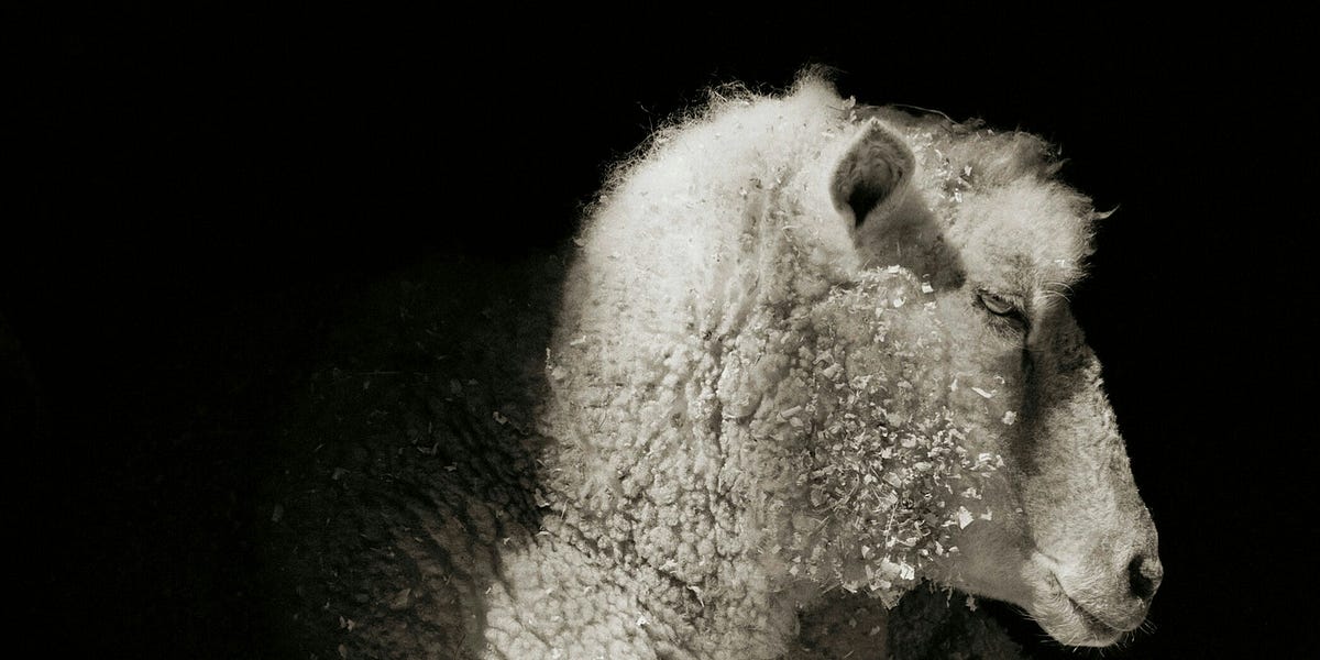 A Solstice note - by Nina MacLaughlin