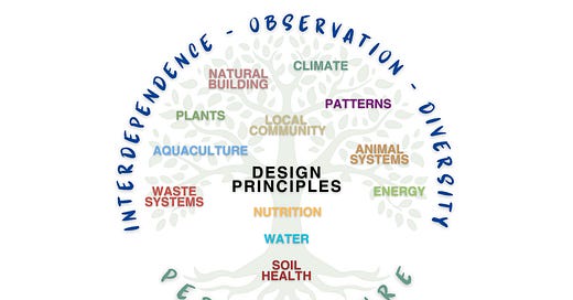 Shell’s Substack | Substack