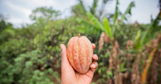 Cuina Lab | Substack