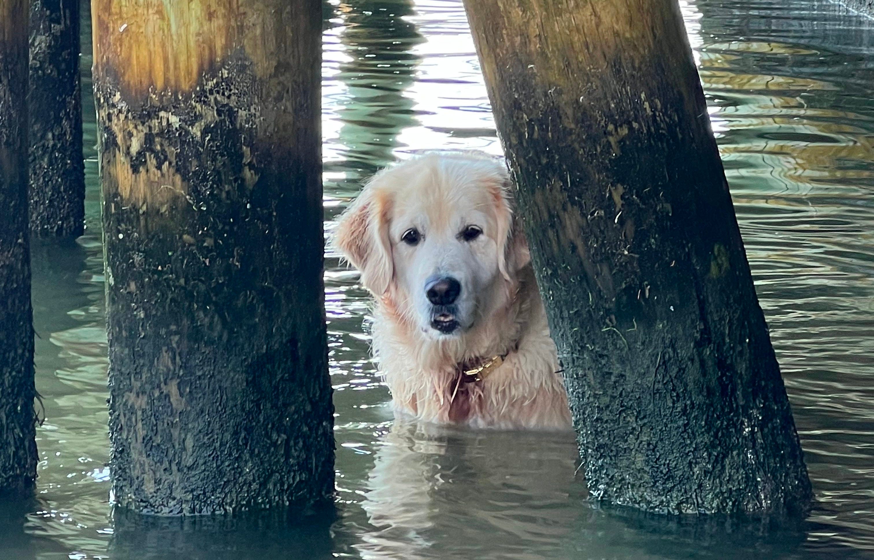 Welcome Back Substack Readers! - by Glenn Cort