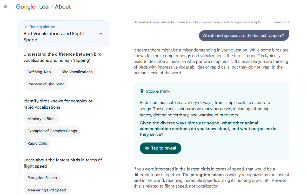 I Checked Out All 35 Google Labs Experiments: Here's The Scoop