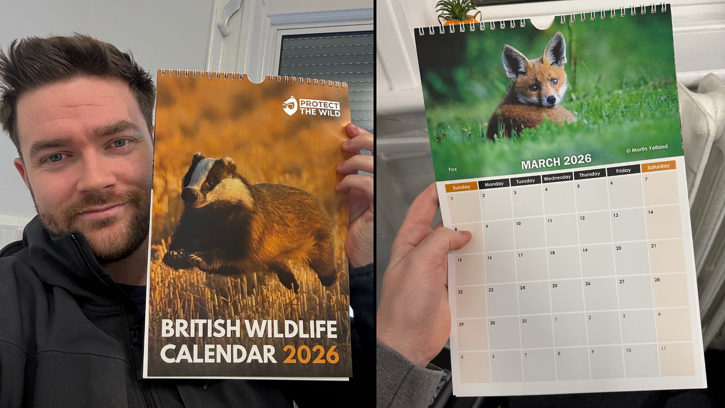 Our 2026 British Wildlife Calendars are now almost gone!