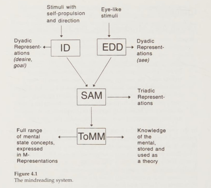 Mindblindness: An Essay on Autism and Theory of Mind [Review] – The New ...