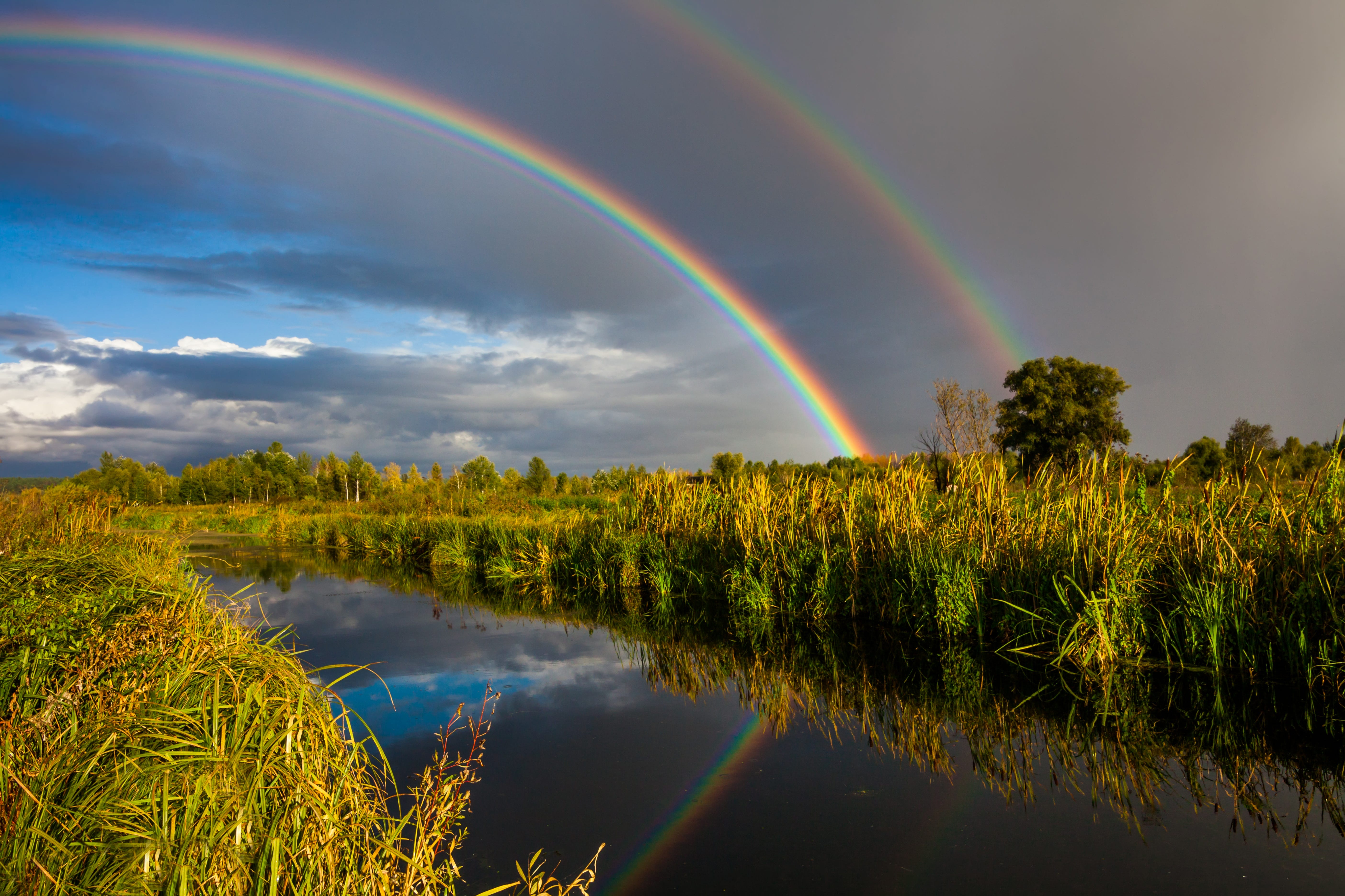 Why Rainbows Arch (and Why You’ll Never Find the End)
