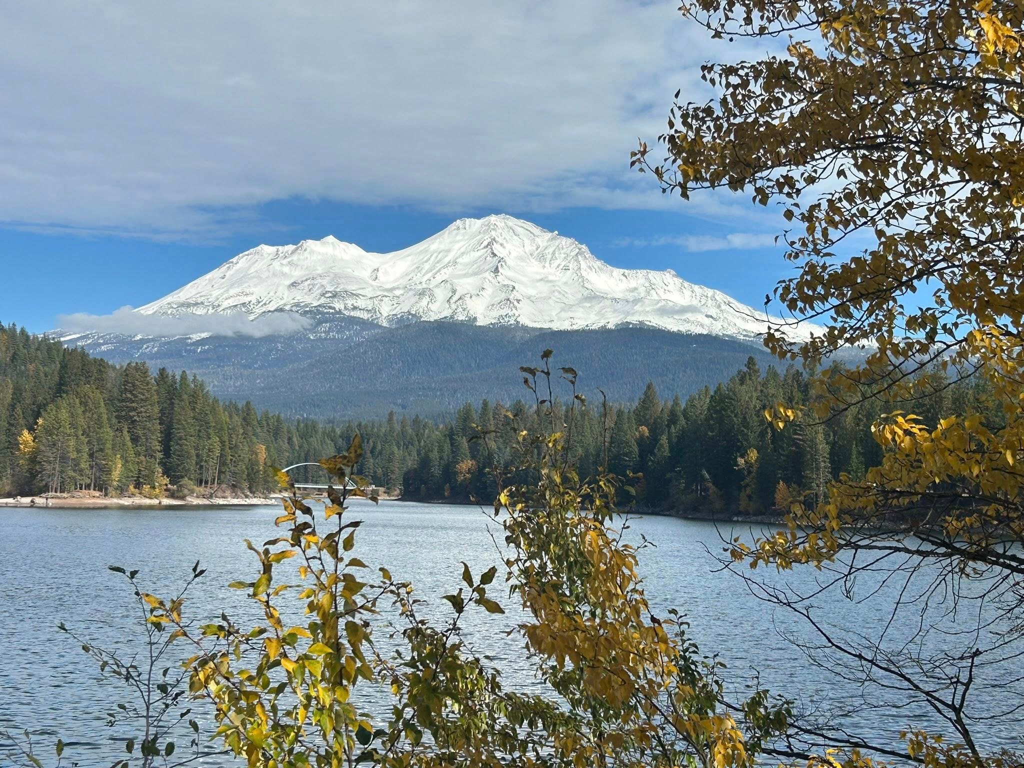 Journal - December Night - by Katie Beth