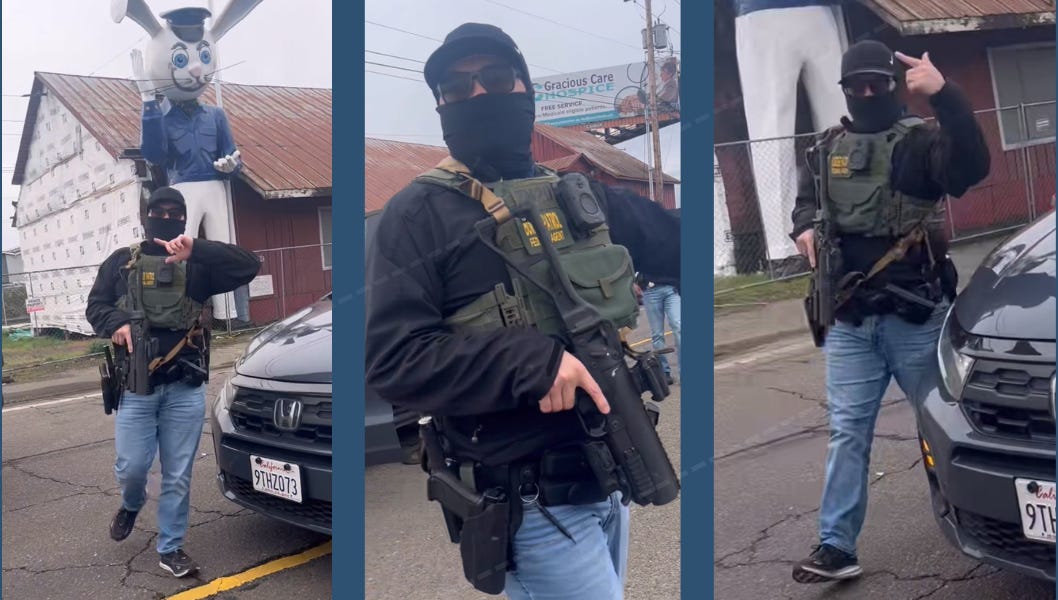 Armed ICE Agents Confront Bystander After Aloha Detention
