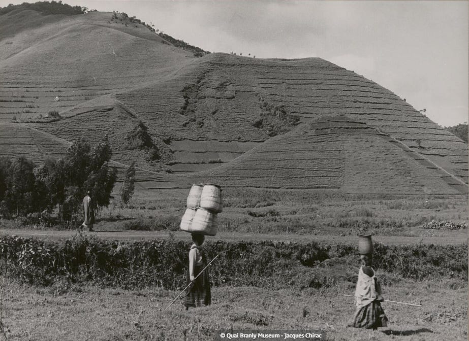 The invention of Agriculture in Africa: plant domestication and the ...