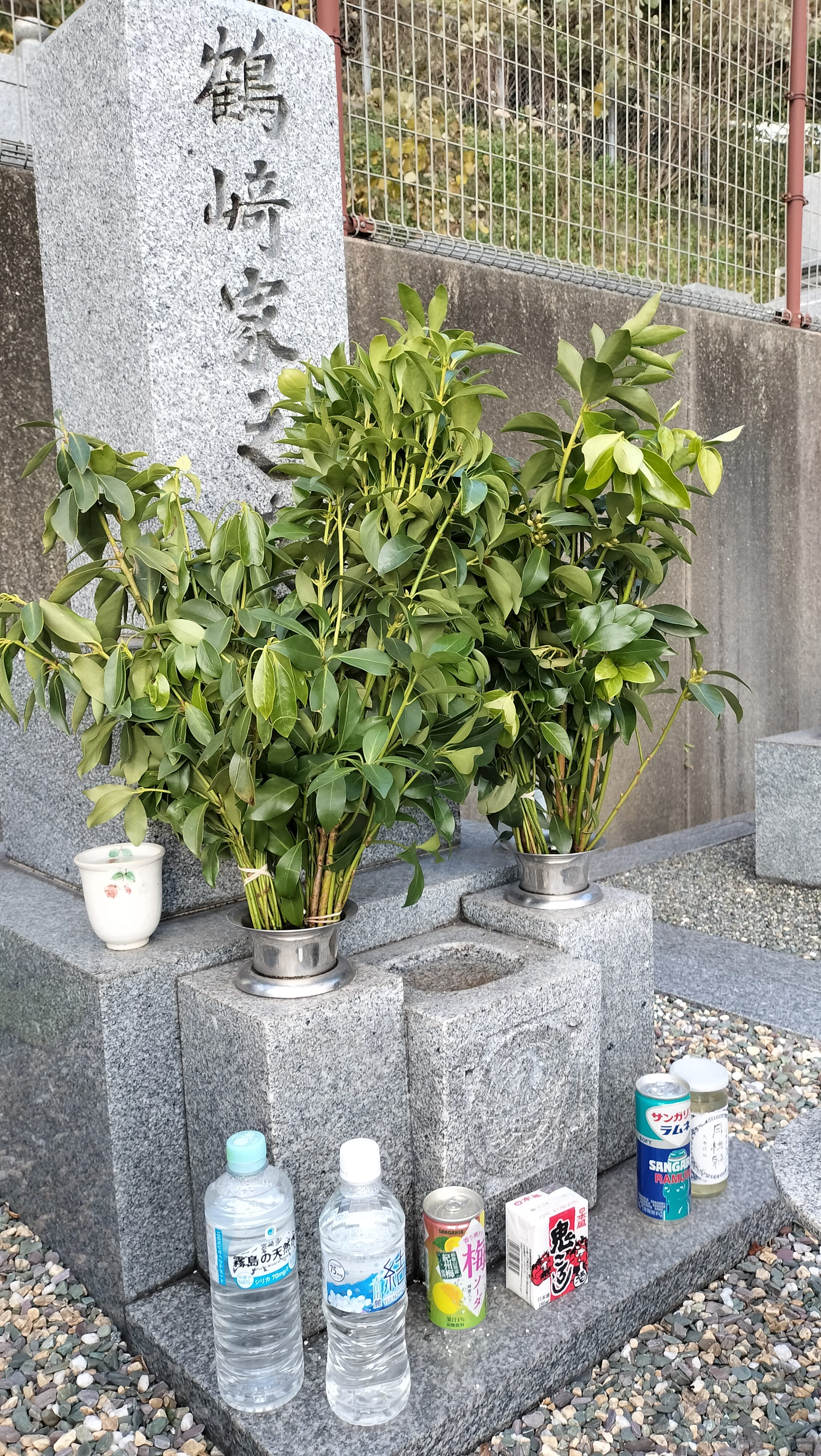 The First Task of Aquarius - by Mat Hadfield