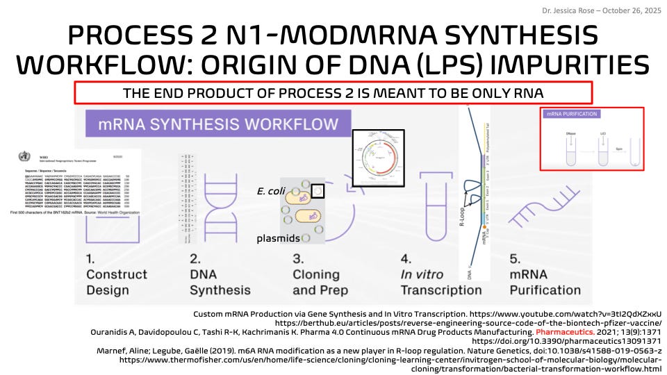 We know exactly how and why the DNA is in the Moderna and Pfizer vials