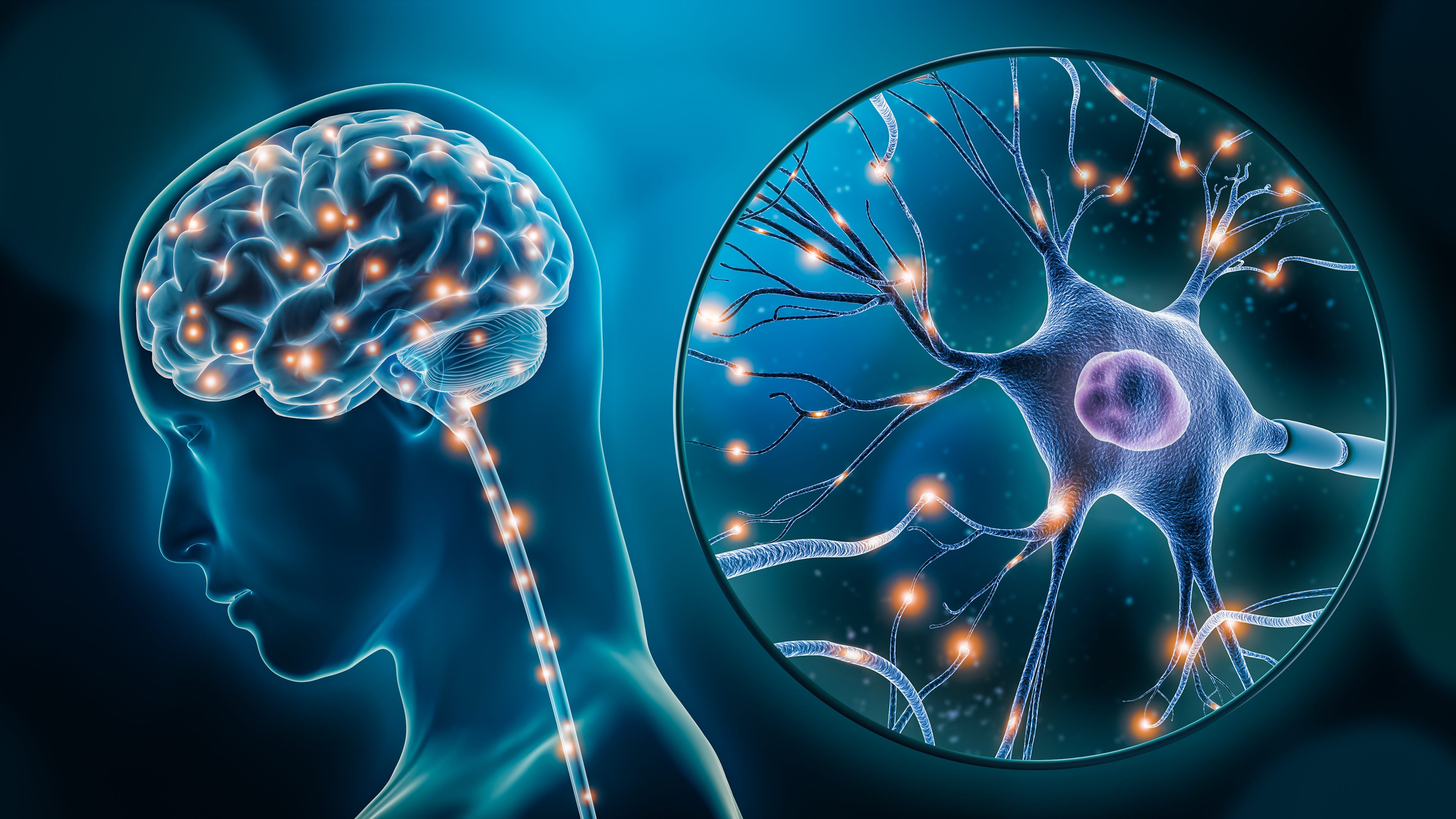 The Biology of Hope: Reversing Chronic Illness Through Nervous System ...