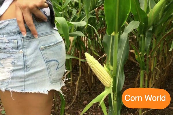 Porn World | Noelle Perdue | Substack