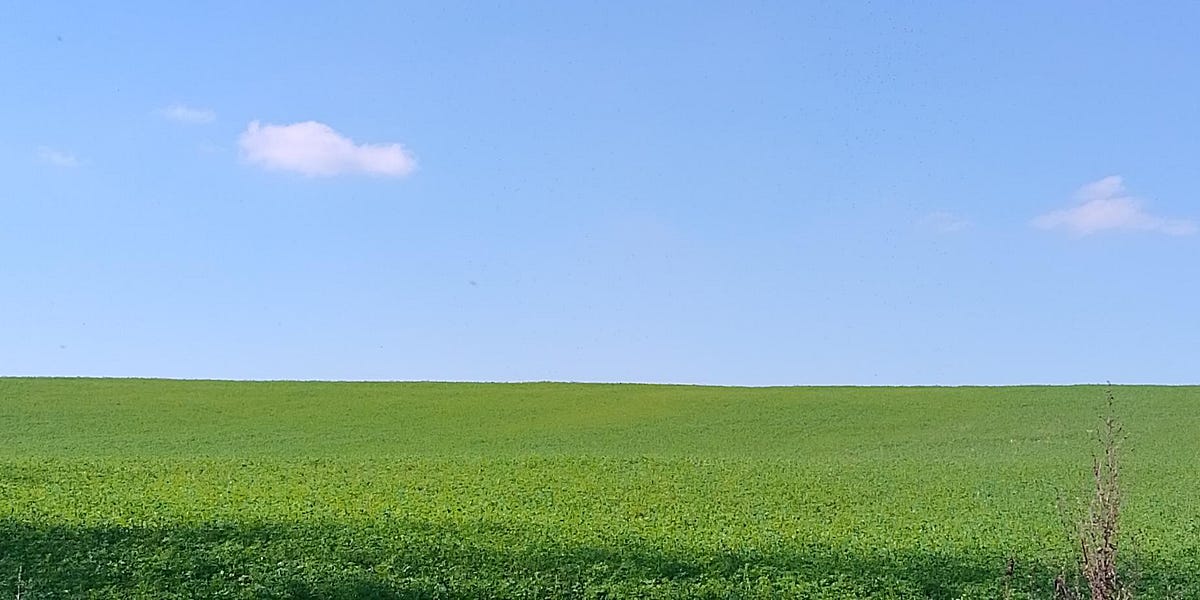 DAY 32, THE JELLYBRIDGE ESTATE