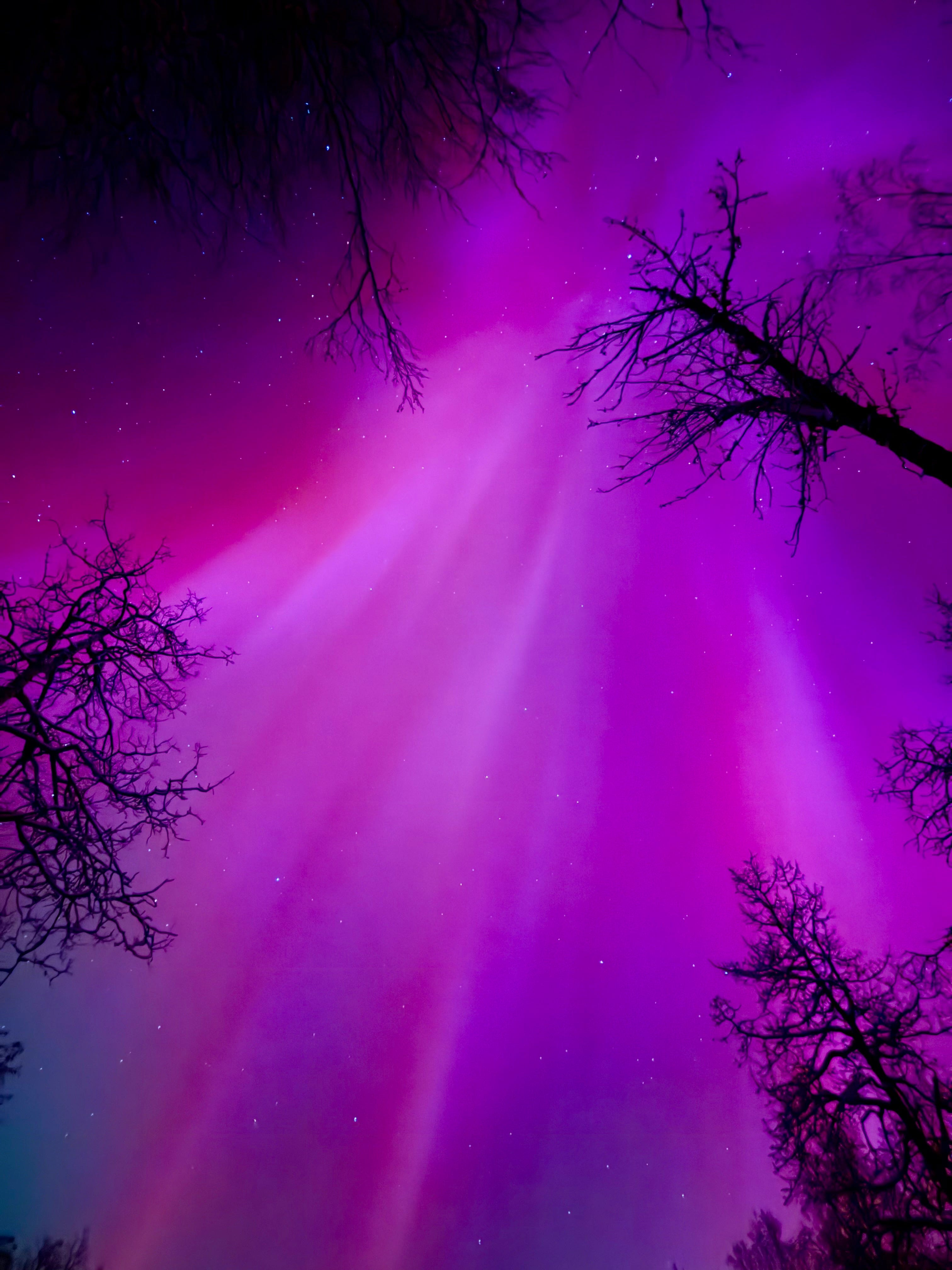 Rending the Heavens - Our Off Grid Life Substack