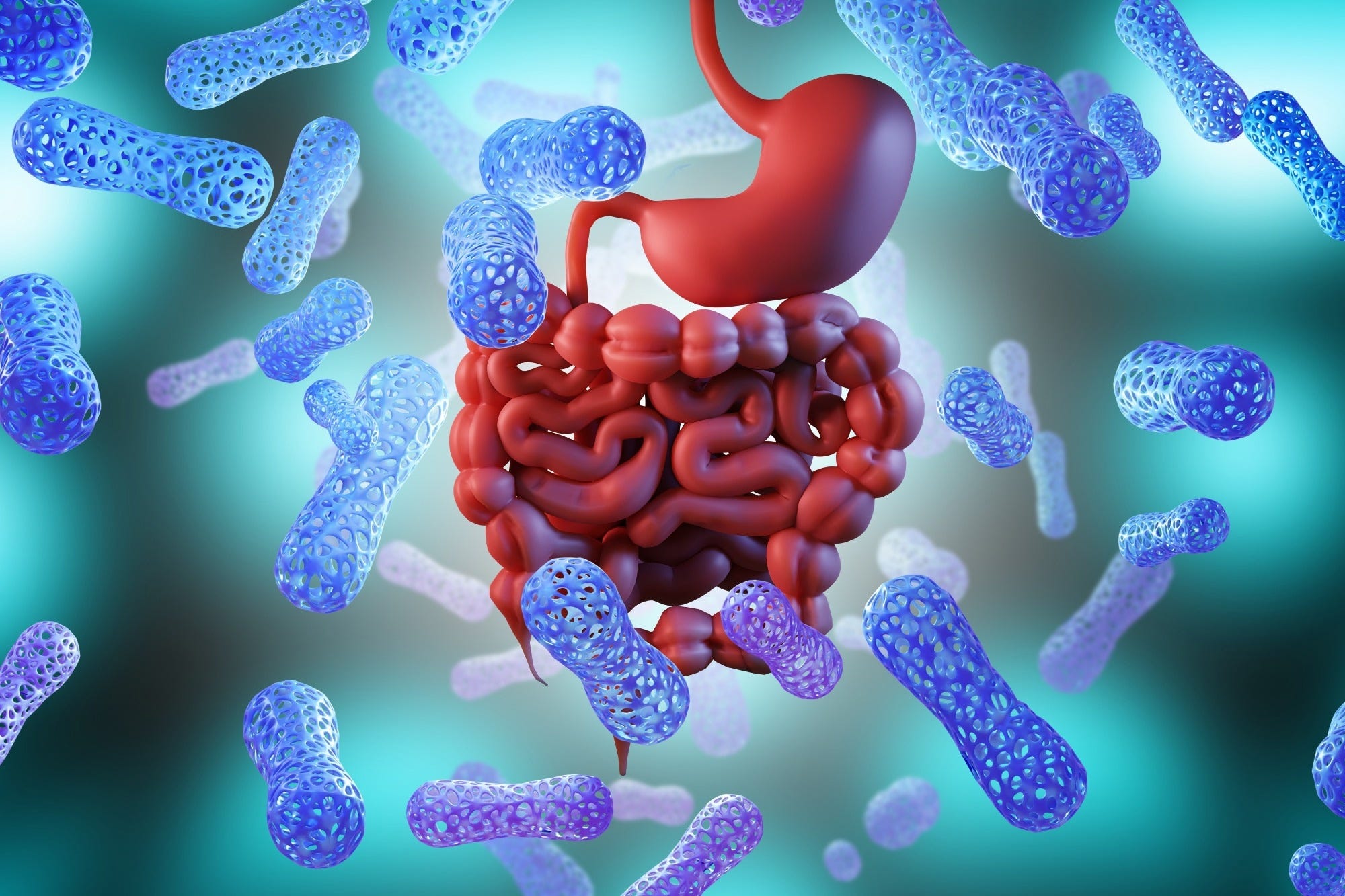 STUDY ANALYSIS: Gut Bacteria and Strength Gain
