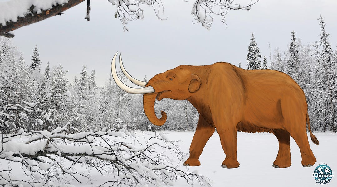 DNA From Extinct Mastodons Reveals a Story of Climate and Collapse