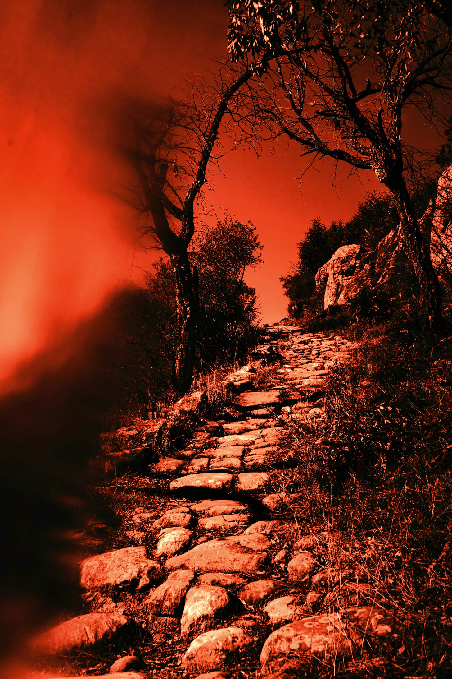 The Flame - by John Saccone - John’s Substack