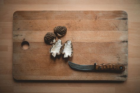 Mythical Morels: A Forager's Guide