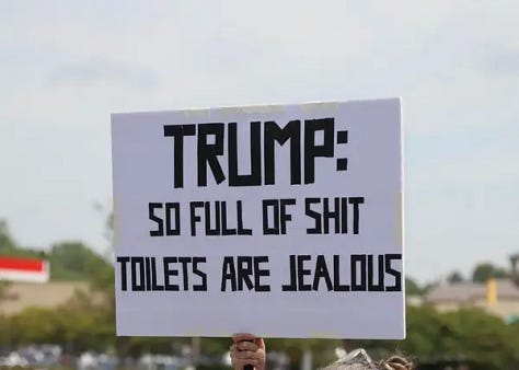 54 Anti-Trump Protest Sign Ideas for the No Kings Protest
