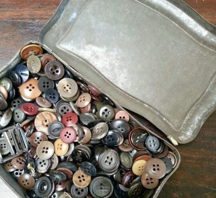 the 365 button theory - nikki lilly