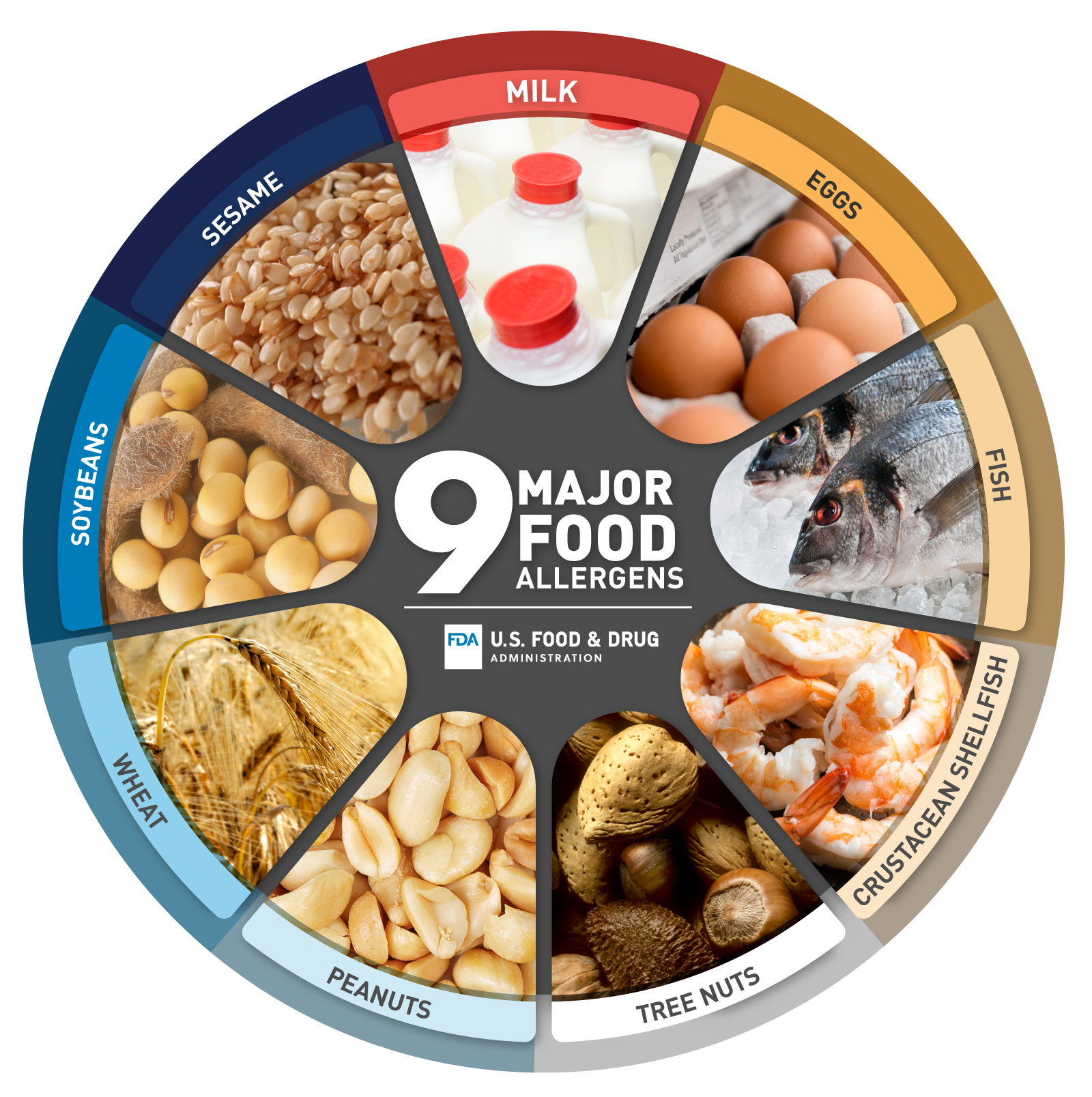 Common Food Allergens & Allergic Reactions