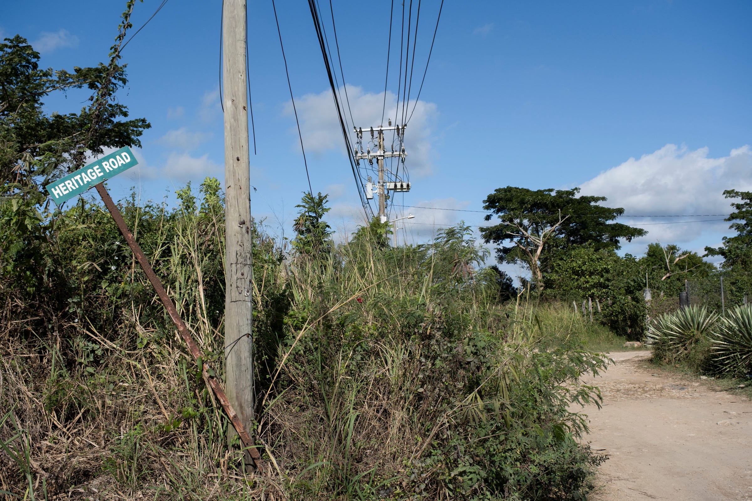 Green Park Plantation in Jamaica