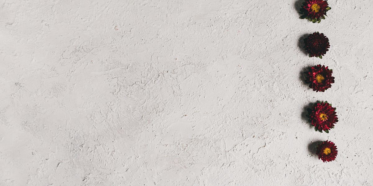 I Want to Remove Duplicates from a Python List • How Do I Do It?