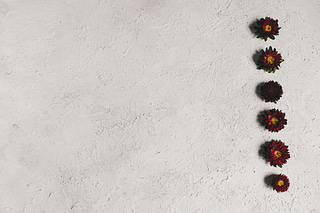 The Python Coding Stack | Stephen Gruppetta | Substack